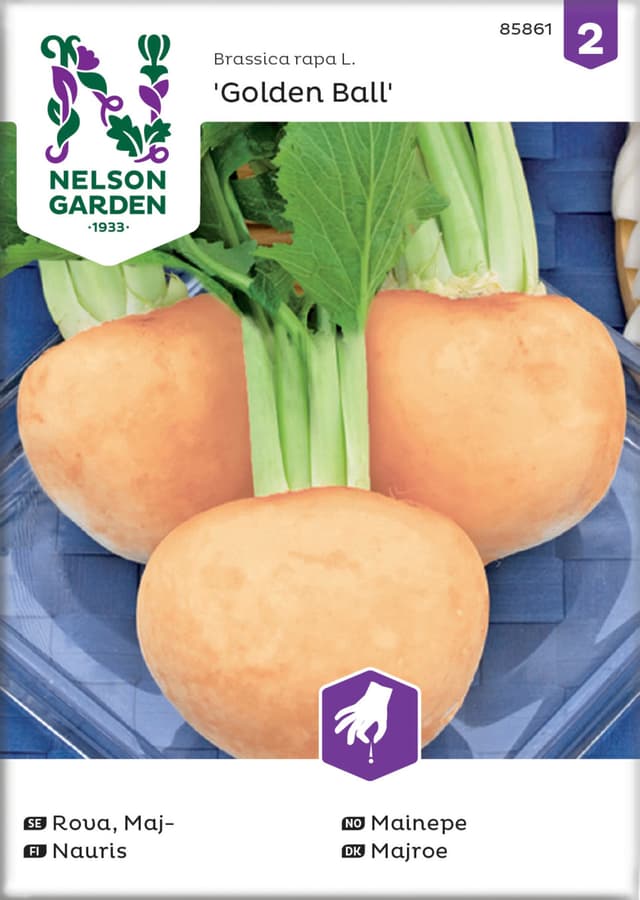 Fröer Majrova Golden Ball – Allt om Produkten | Food Fighters